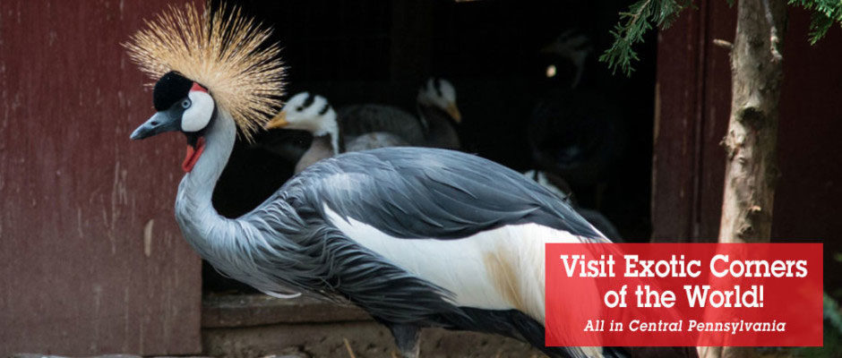 Family Animal Attraction in Halifax, PA - Lake Tobias Wildlife Park